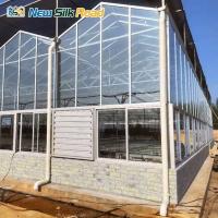 China Venlo Type Multi-Span Agricultural Glass Greenhouse 6m-12m Span with 1.2kN Wind Load for Commercial Farming for sale