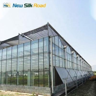 China NSR Venlo Type Multi-Span Agricultural Glass Greenhouse 6m-12m Span with 1.2 kn/㎡ Wind Load and Cooling Systems for sale