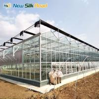China Venlo Type Multi-Span Agricultural Glass Greenhouse 6-12m Span 3.5-5.8m Roof Height with Hot-Dip Galvanized Steel Structure for sale