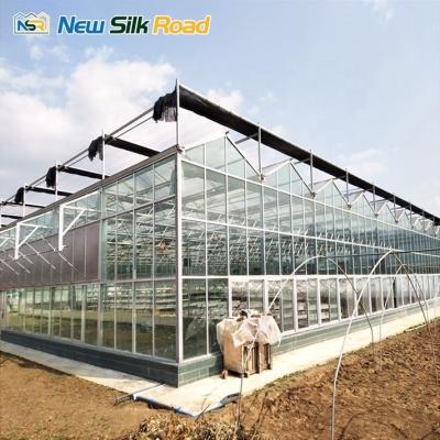 China Venlo Type Multi-Span Agricultural Glass Greenhouse 6-12m Span 3.5-5.8m Roof Height with Hot-Dip Galvanized Steel Structure for sale