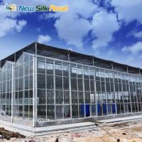 China Venlo Multi-Span Glass Greenhouse 6-12m Span with 1.2kN Wind Load for Agricultural Cultivation for sale