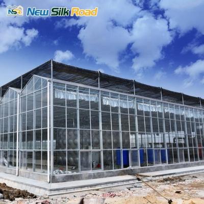 China Venlo Multi-Span Glass Greenhouse 6-12m Span with 1.2kN Wind Load for Agricultural Cultivation for sale