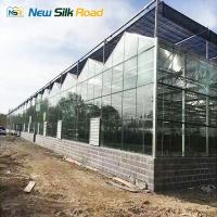 China NSR Venlo Multi-Span Glass Greenhouse 6m-12m Width 3.5m-5.8m Roof Height for Commercial Agriculture for sale