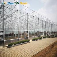 China Venlo Type Multi-Span Agricultural Glass Greenhouse 6-12m Span with 1.2kN/㎡ Wind Load for Optimal Crop Growth for sale