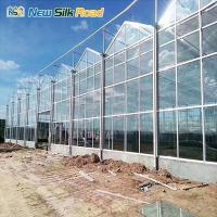 China Venlo Type Multi-Span Agricultural Glass Greenhouse 6-12m Span with 1.2 kn/㎡ Wind Load for Professional Farming for sale