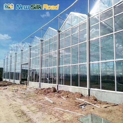 China Venlo Type Multi-Span Agricultural Glass Greenhouse 6-12m Span with 1.2 kn/㎡ Wind Load for Professional Farming for sale