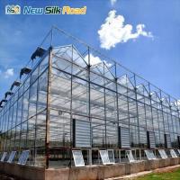 China NSR Venlo Multi-Span Agricultural Glass Greenhouse 6-12m Span 3.5-5.8m Height Customizable for sale