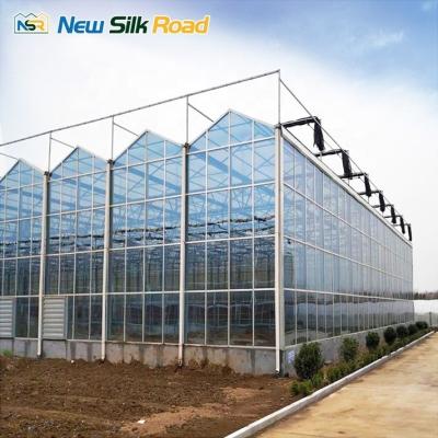 China Venlo Type Multi-Span Glass Greenhouse 6-12m Span with Hot-Dip Galvanized Steel Structure for Commercial Agriculture for sale