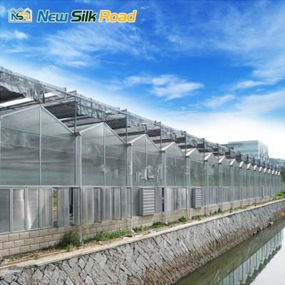 China Venlo Type Multi-Span Agricultural Polycarbonate Greenhouse 6m-12m Span with 1.2 kn/㎡ Wind Load and Hot-Dip Galvanized Frame for sale