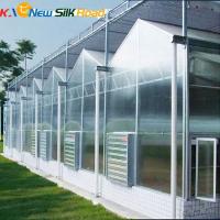 China Venlo Type Multi-Span Polycarbonate Greenhouse 6-12m Span with 1.2kN Wind Load for Agricultural Use for sale