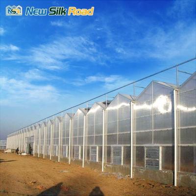 China Venlo Type Multi-Span Polycarbonate Greenhouse 6-12m Span with 1.2kN Wind Load for Hydroponic Farming for sale