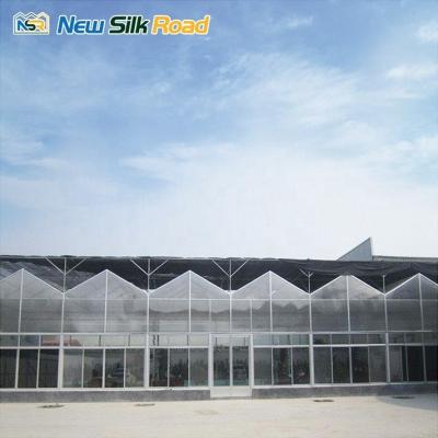 China Venlo Type Multi-Span Polycarbonate Greenhouse 6-12m Span with Hot-Dip Galvanized Steel Frame and Climate Control Systems for sale