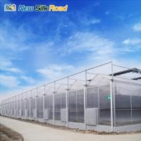 China Venlo Type Multi-Span Polycarbonate Greenhouse with 6-12m Spans and Hot-Dip Galvanized Steel Structure for sale