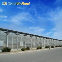 China NSR Venlo Type Multi-Span Polycarbonate Greenhouse 6m-12m Span with 1.2kn Wind Load for Agricultural Use for sale