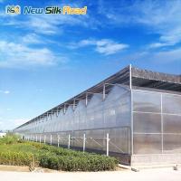 China NSR Venlo Type Multi-Span Polycarbonate Greenhouse 6-12m Span with 1.2kN Wind Load for Agricultural Use for sale