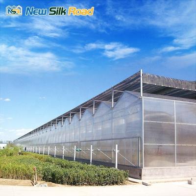 China NSR Venlo Type Multi-Span Polycarbonate Greenhouse 6-12m Span with 1.2kN Wind Load for Agricultural Use for sale