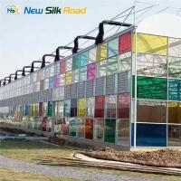 China Venlo Multi-Span Tempered Glass Greenhouse 9.6m Span with Hydroponic Growing System for Agriculture for sale