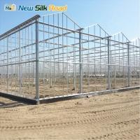 China Venlo Multi-Span Tempered Glass Greenhouse 9.6m Span with Hydroponic Growing System for Agriculture for sale