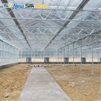 China Venlo Multi-Span Tempered Glass Greenhouse 9.6m Span with Hydroponic Growing System for Agriculture for sale