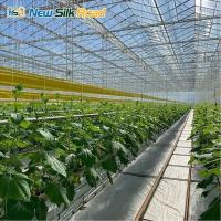 China Venlo Type Multi-Span Agricultural Glass Greenhouse 9.6m Span Customizable Length for sale