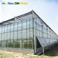 China Venlo Multi-Span Agricultural Glass Greenhouse 9.6m Span Customizable Length for sale