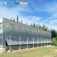 China Venlo Multi-Span Polycarbonate Greenhouse 9.6m Span for Agriculture for sale