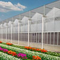 China Venlo Type Multi-Span Polycarbonate Greenhouse 6m Span 4m Shoulder Height for Agriculture for sale