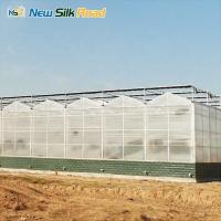 China Venlo Multi-Span Polycarbonate Greenhouse 9.6m Span for Commercial Vegetable Cultivation for sale
