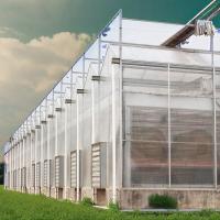 China Venlo Multi Span Polycarbonate Greenhouse 6mm 8m Span Agricultural Kit for sale