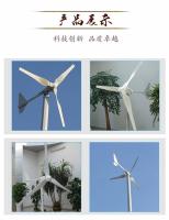 China SR-W01 SR-W02 SR-W03 SR-W04 100W-400W 12V 24V Horizontal Axis Wind Turbine Three Phase AC Permanent Magnet Wind Generator for sale