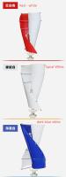 China SR-S01 100W Horizontal Axis Wind Turbine Generator 12V/24V Aluminium Alloy Blades 2 Blades IP65 For Home Wind Power System for sale