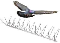China High Quality Plastic Control Bird Spikes On Sale for sale