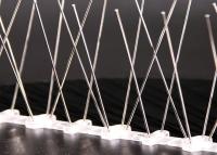 China High Quality Plastic Control Bird Spikes On Sale for sale