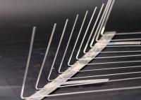 China High Quality Stainless steel 304 Control Bird Spikes On Sale for sale