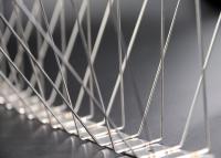 China High Quality Stainless steel 304 Control Bird Spikes On Sale for sale