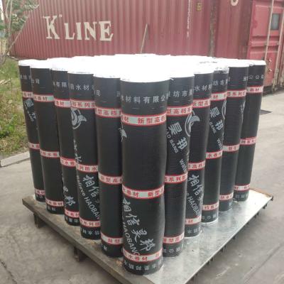 China High Elastic Sbs Modified Bitumen Membrane 10m/Roll For Roof WP & MP for sale