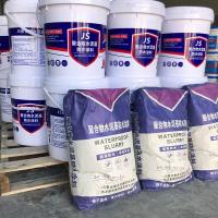 China Flexible Polymer Cement Waterproof Coating Crack-Resistant Wide-Coverage Durable Adhesion for sale