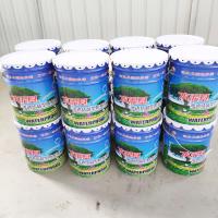 China Self-healing Cement-based Waterproof Coating For Penetrable Internal Cracks 20 Kg Per Bucket for sale