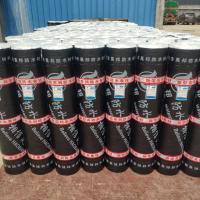 China Elastic SBS Modified Bitumen 10m Roll  Roof Waterproofing Damp Proof Membrane for sale
