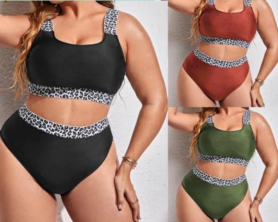 China Black Sexy Large Size Ladies Swimwear Gauze Swimsuits 2 Piece Plus Size for sale