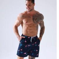 China Printed Mens Beach Wear Shorts Quick Drying Comfortable Mens Swimming Trunks for sale