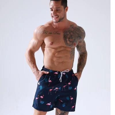 China Printed Mens Beach Wear Shorts Quick Drying Comfortable Mens Swimming Trunks for sale