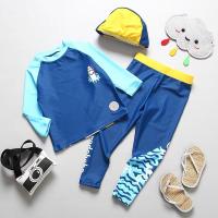 China Three Piece Boys Swimwear Sets Printed Blue Boy Bathing Suit for sale