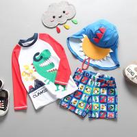 China Carton Style Boys Swimsuit Sets  Summer Children Swimwear Student Split for sale