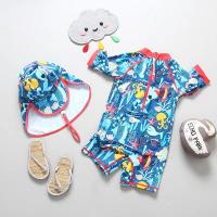 China Gradual Blue Boys Swimwear Sets Split Lively Outdoor Children'S Swimsuit  SPF50+ for sale
