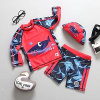 China UPF50+ Boys Swimwear Sets 3-13 Years Old Long Sleeve Boy Swimsuit Handsome for sale