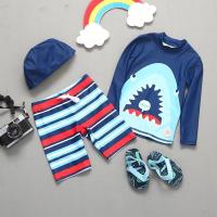 China Three Piece Boys Swimwear Sets Printed Blue Boy Bathing Suit for sale
