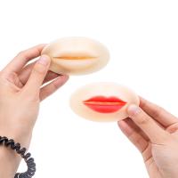 China 5D Tattoo Silicone Lip Practice Skin Permanent Microblade Complete Realistic Practice Silicone Lip for sale