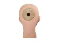 China 3D Silicone Makeup Practice Skin For Training School Eyeliner Eyebrow And Lip for sale