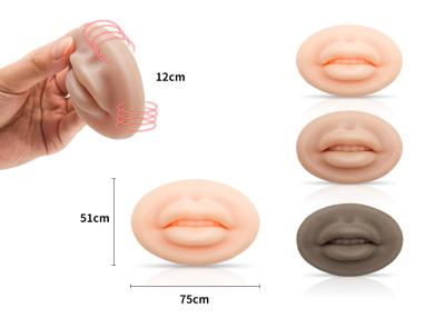 China PMU 42.8g Permanent Makeup Practice Skin Soft 3d Silicon Lip Mouth Microblading for sale